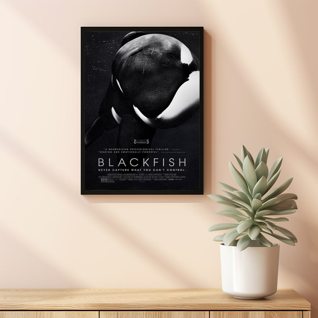 Blackfish Movie Poster,Film Fan Collectibles,Vintage Movie Poster,Home ...